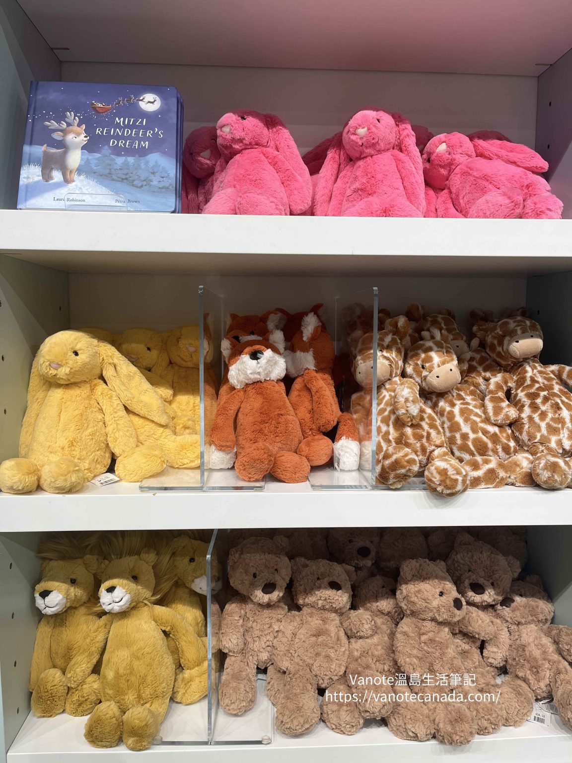 溫哥華Jellycat哪裡買？這5家人氣店家找得到熱門兔兔！